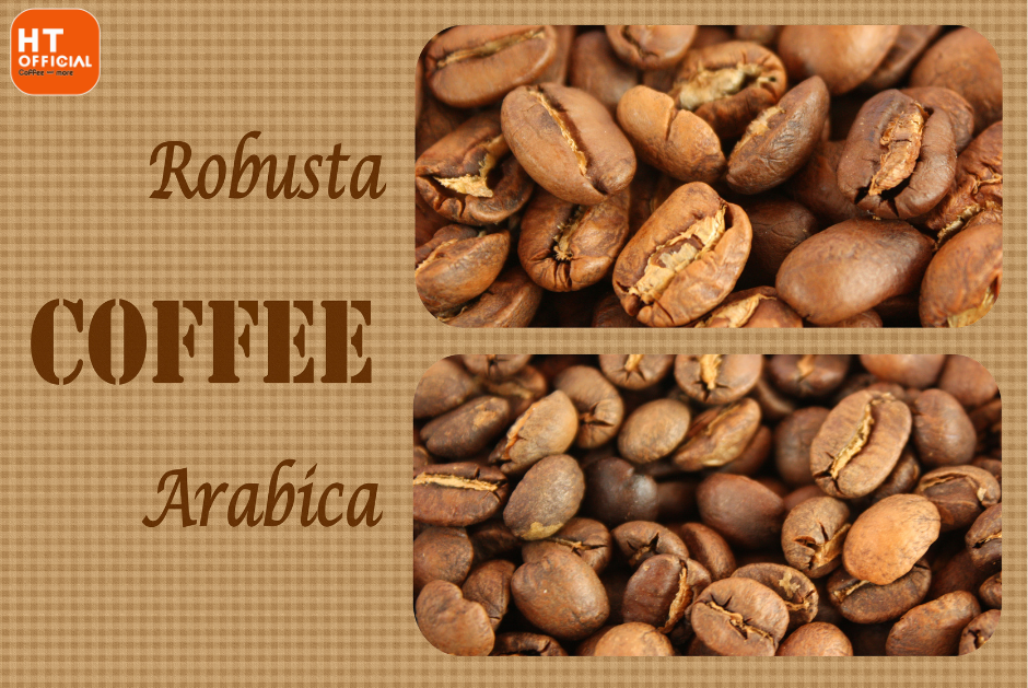 3 Cách Phân Biệt Cà Phê Arabica và Robusta: Đặc Điểm, Hương Vị, và Cách ...